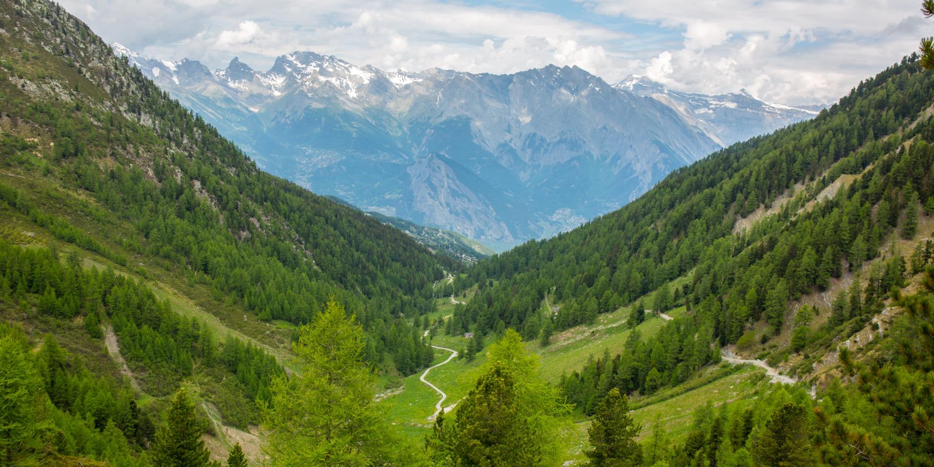Vallon d’Arbi | La Tzoumaz | Office du Tourisme